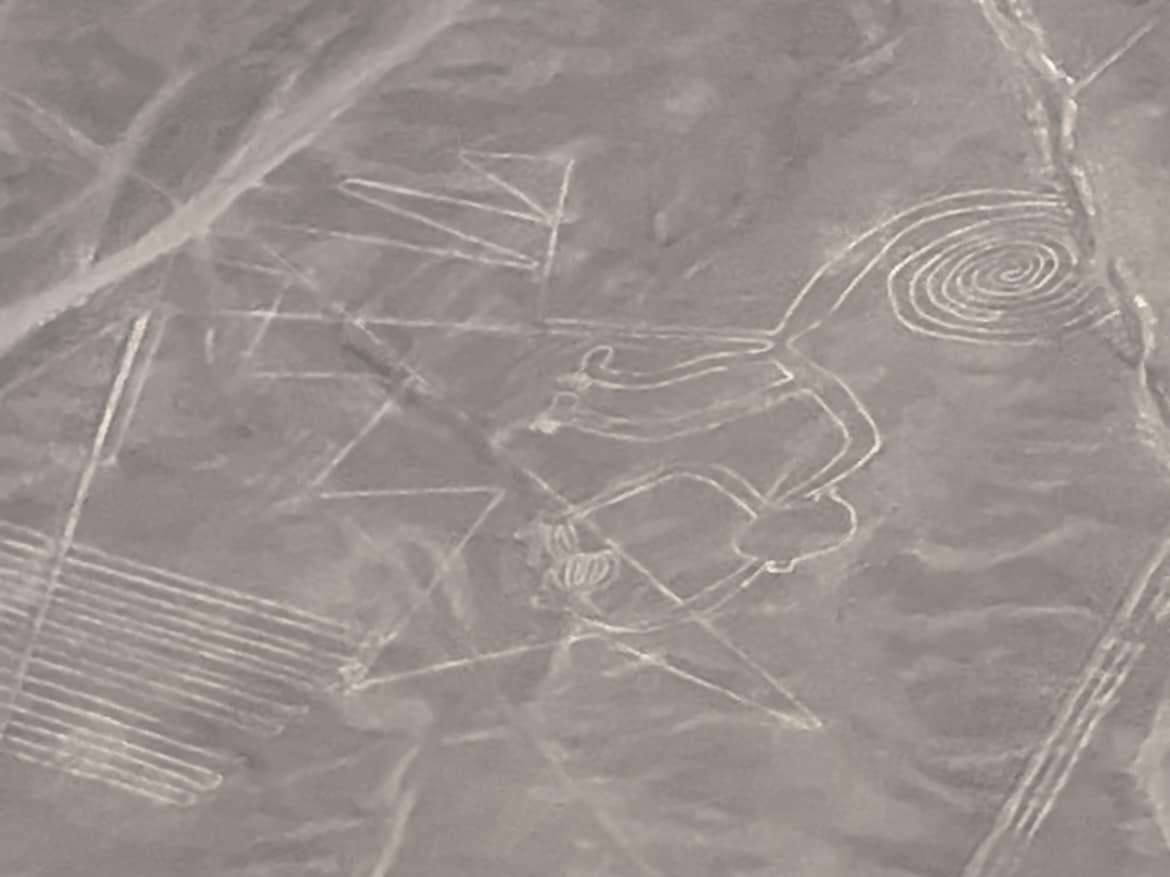 The Nazca Lines of Peru: Shore Excursion - Embrace Today